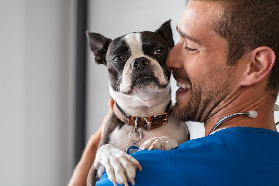 Consejos prácticos para los cuidados del perro